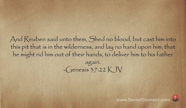 Genesis 37:22 KJV