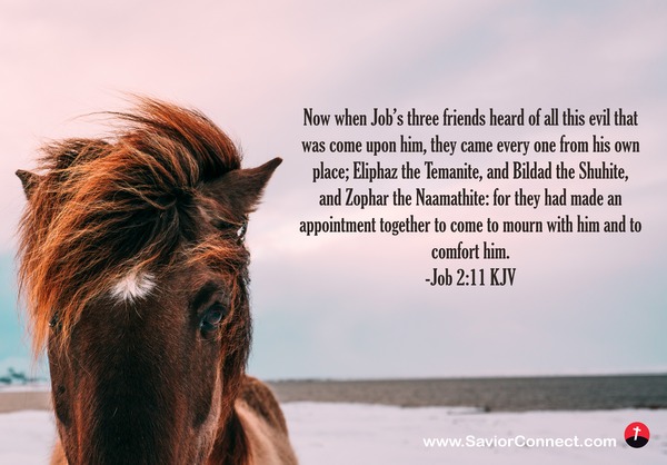 Job 2:11 KJV