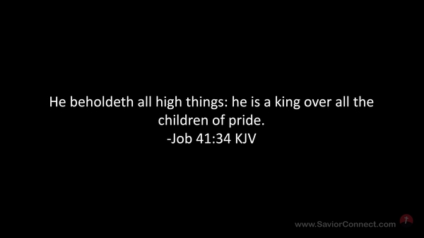 Job 41:34 KJV