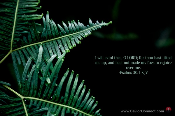 Psalms 30:1 KJV Psalms 30:1 KJV