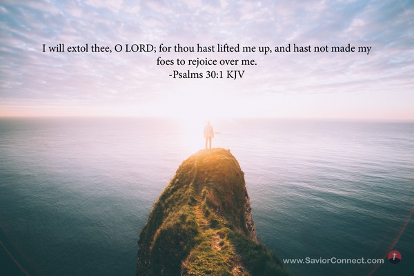 Psalms 30:1 KJV