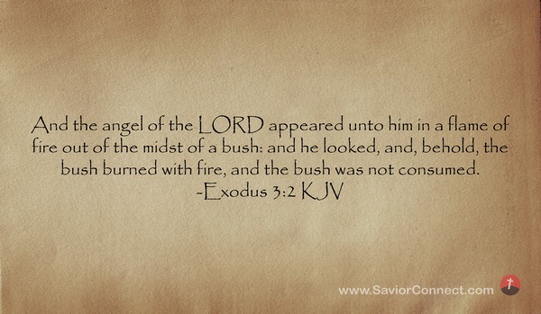 Exodus 3:2 KJV
