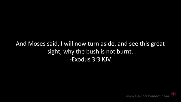 Exodus 3:3 KJV