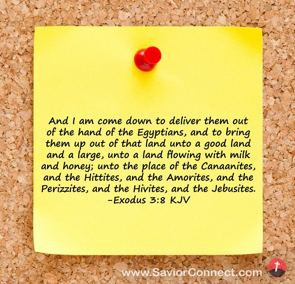Exodus 3:8 KJV