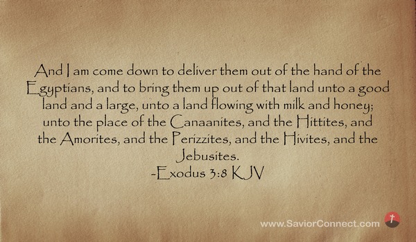 Exodus 3:8 KJV