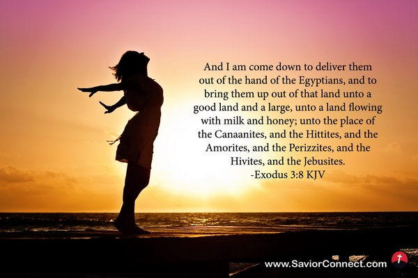 Exodus 3:8 KJV