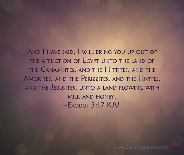 Exodus 3:17 KJV