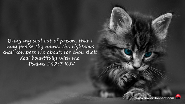 Psalms 142:7 KJV