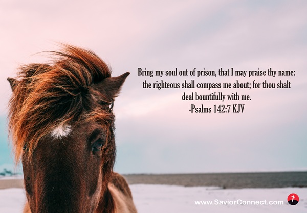 Psalms 142:7 KJV