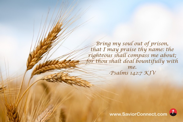 Psalms 142:7 KJV