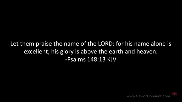 Psalms 148:13 KJV