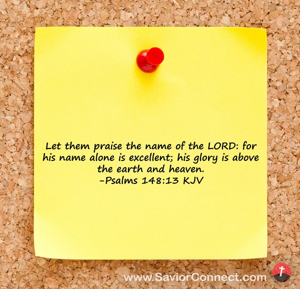 Psalms 148:13 KJV