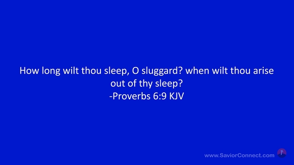 proverbs 6 6 9