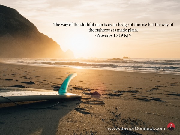 Proverbs 15:19 KJV
