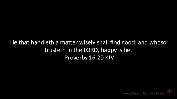proverbs 12 16 20