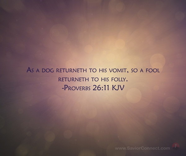 proverbs 26 11 wallpaper