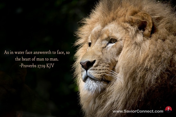 proverbs 27 19 wallpaper