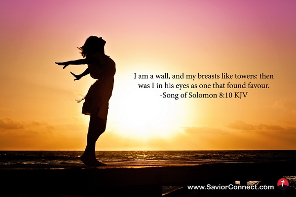 Song of Solomon 8:10 KJV