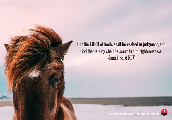Isaiah 5:16 KJV