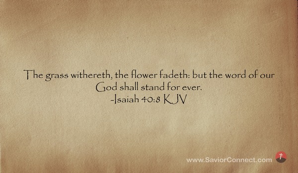 Isaiah 40:8 KJV