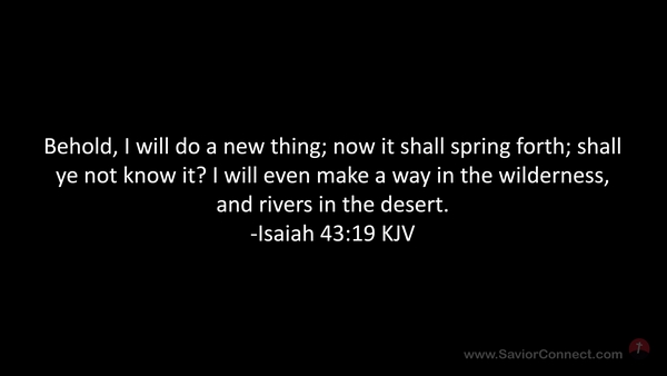 Isaiah 43:19 KJV