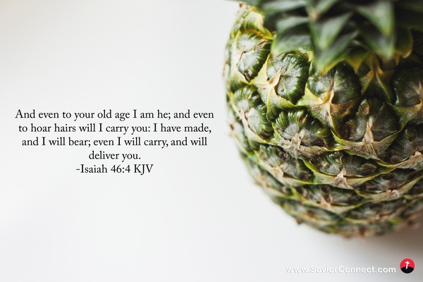Isaiah 46:4 KJV