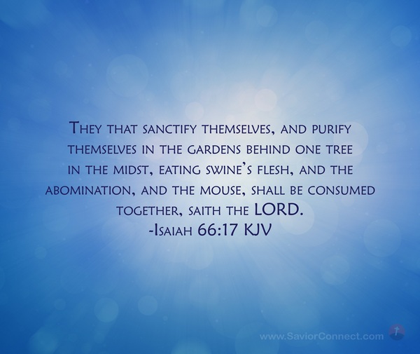 Isaiah 66:17 KJV Isaiah 66:17 KJV