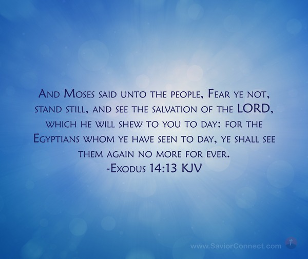 Exodus 14:13 KJV