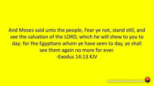 Exodus 14:13 KJV