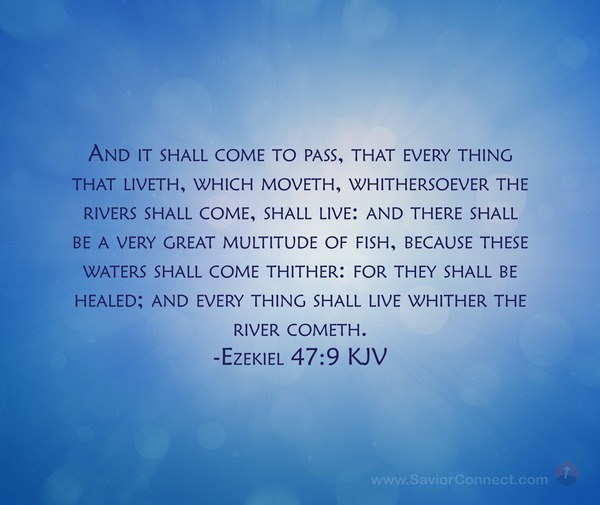 Ezekiel 47 Kjv