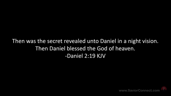 Daniel 2:19 KJV
