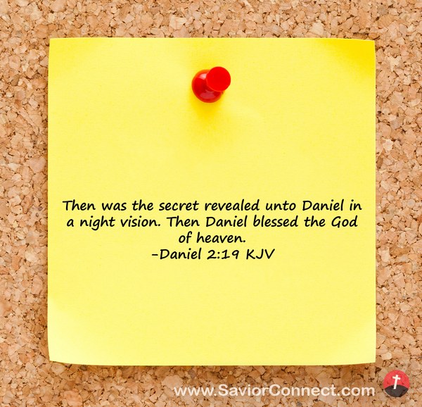 Daniel 2:19 KJV