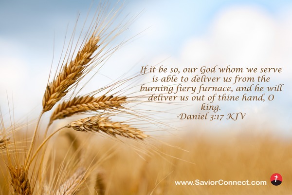 Daniel 3:17 KJV