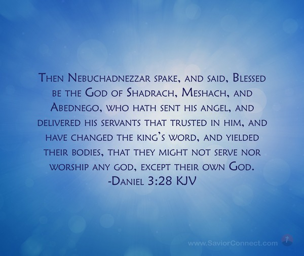 Daniel 3:28 KJV