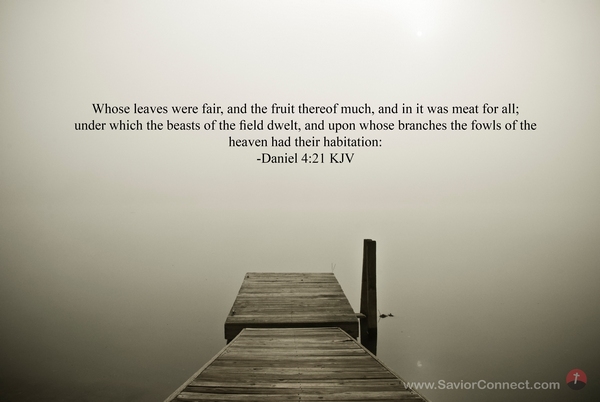 Daniel 4:21 KJV