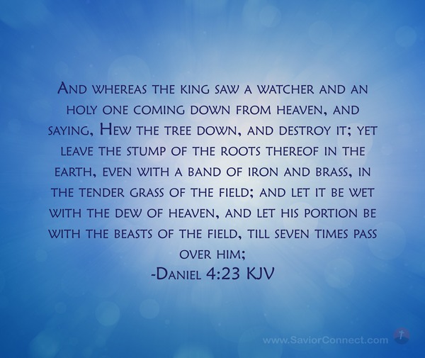 Daniel 4:23 KJV