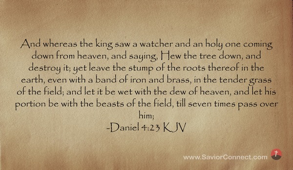 Daniel 4:23 KJV