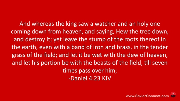 Daniel 4:23 KJV