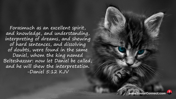 Daniel 5:12 KJV