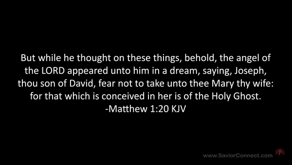 matt 1 20