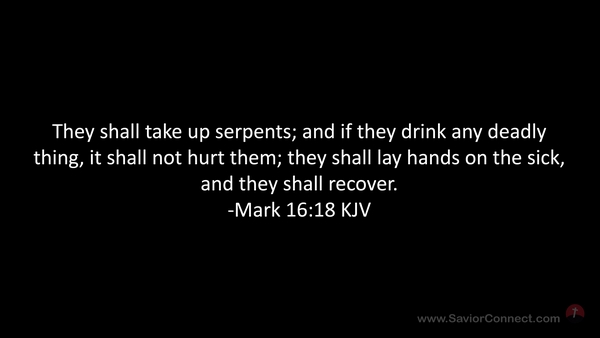 Mark 16:18 KJV