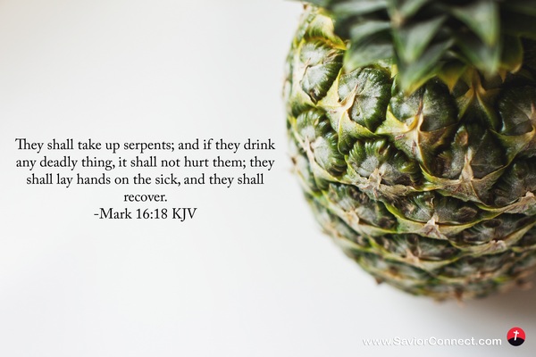 Mark 16:18 KJV