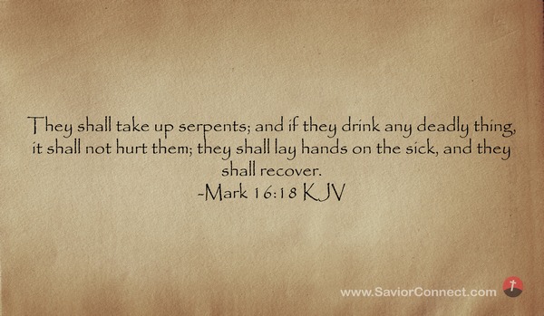 Mark 16:18 KJV