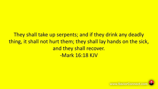 Mark 16:18 KJV