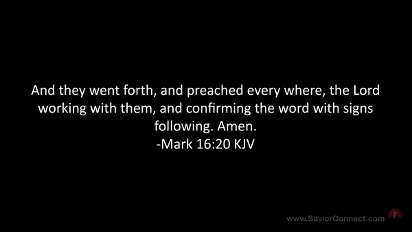 Mark 16:20 KJV