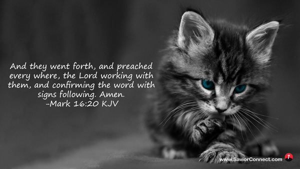 Mark 16:20 KJV