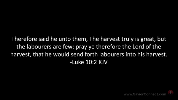 luke 10 2