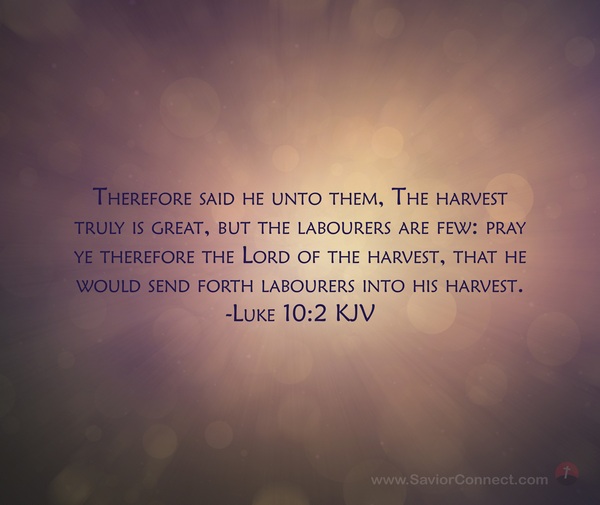 luke 10 2
