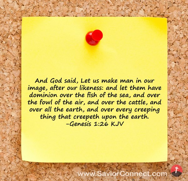 Genesis 1:26 KJV