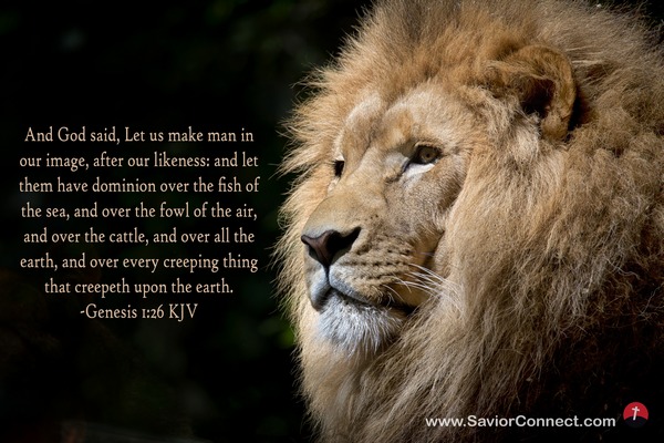 Genesis 1:26 KJV
